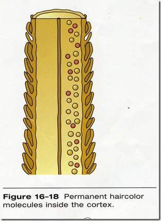 The Way Hair Color Works is Scientifically Magic to Me | Killerstrands ...